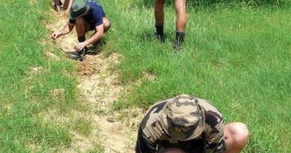 Africa's Great Green Wall Against Climate Change Begins | Climate Central