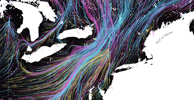 One Glorious Map Shows the Future of Animal Migrations | Climate Central