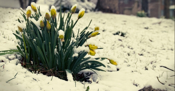 6 Degrees: A Warm Year, A Snowy Spring & Cool Maps | Climate Central