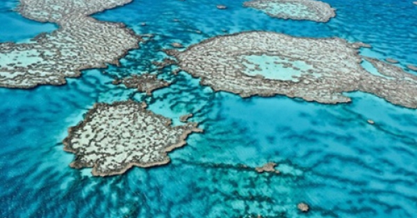 Great Barrier Reef Faces ‘Irreversible’ Damage | Climate Central