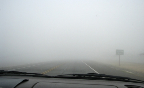 California’s Fog is Fading Away, Crops Could Suffer | Climate Central