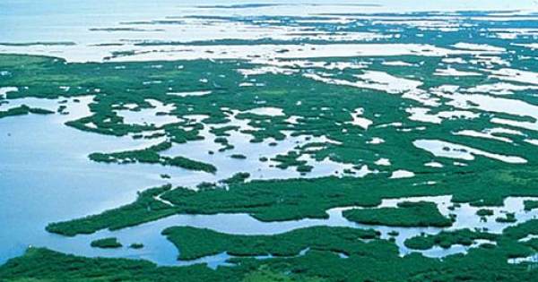 Natural Barriers Protect Our Coasts Best, Say Researchers | Climate Central