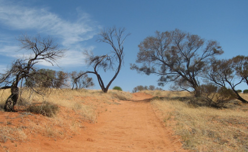 Australia Faces Bigger Health Risks from Climate Change | Climate Central