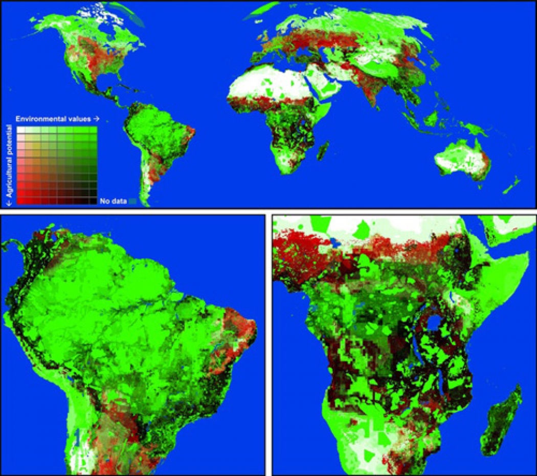 New Global ‘Roadmap’ Shows Where to Put Future Roads | Climate Central
