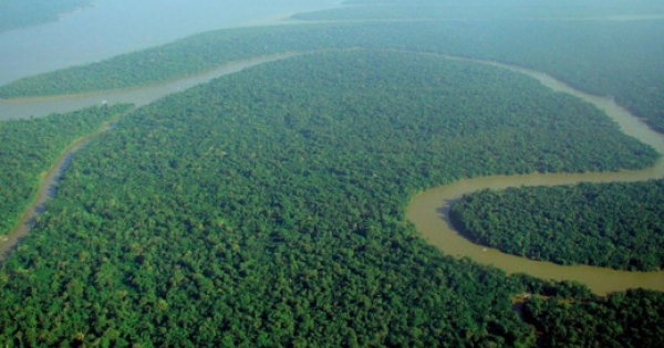 Drought Takes Hold as Amazon’s ‘Flying Rivers’ Dry Up | Climate Central