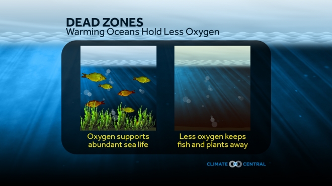 Dead Zones: Warming Oceans Hold Less Oxygen | Climate Central