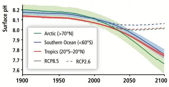 Three Tools to Solve The Mystery of Ocean Acidity | Climate Central