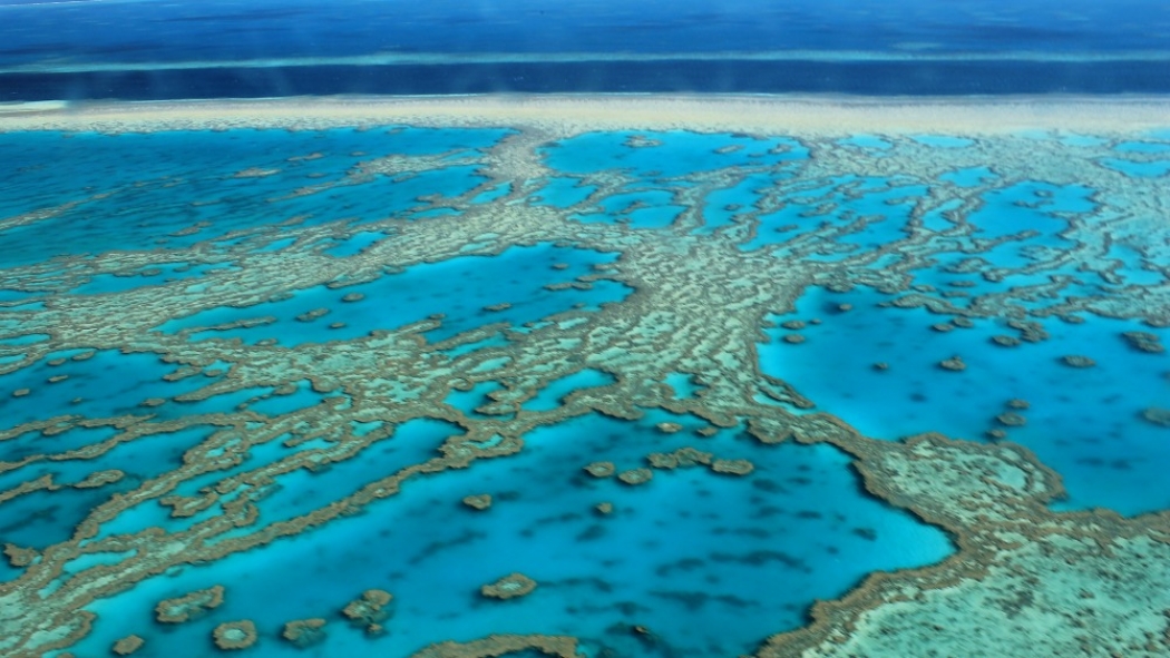 Bleak Picture of Great Barrier Reef’s Changing Chemistry | Climate Central