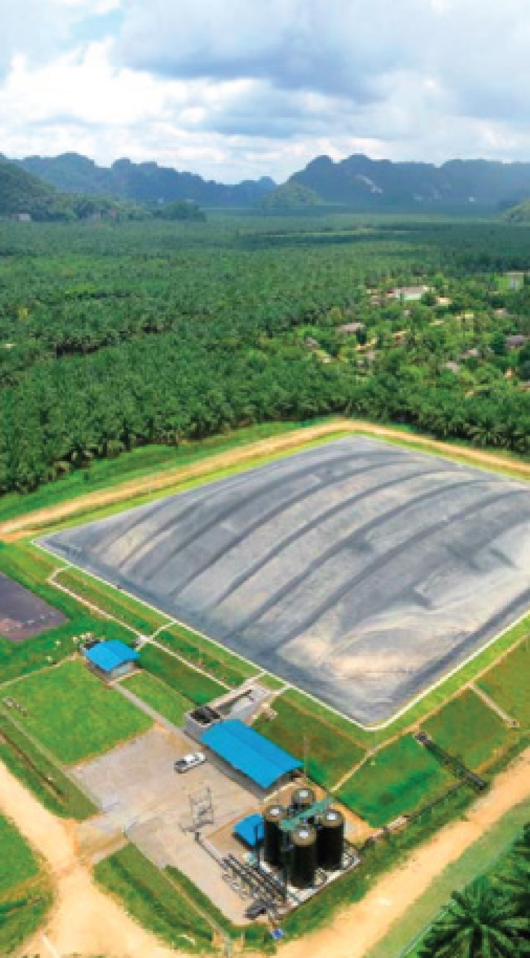 A Renewable Solution to Palm Oil's Methane Problem | Climate Central
