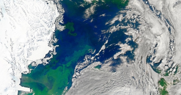 Blooming Algae Could Accelerate Arctic Warming | Climate Central