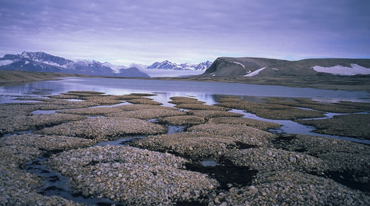 Thawing Permafrost Will 'Seep, Not Explode' CO2 | Climate Central