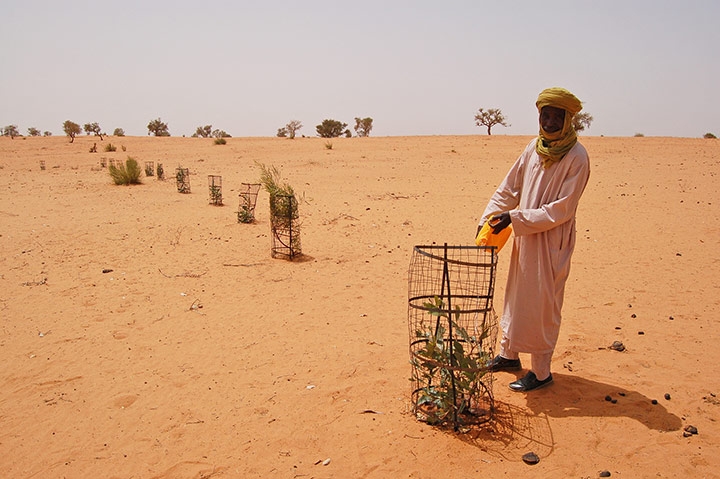 El Niño Could Bring Drought and Famine in West Africa | Climate Central