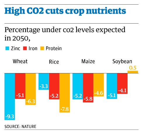 Climate Change Making Food Crops Less Nutritious | Climate Central