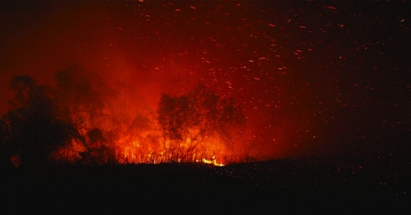 New Mexico Facing 'Extremely Destructive' Wildfire Season | Climate Central