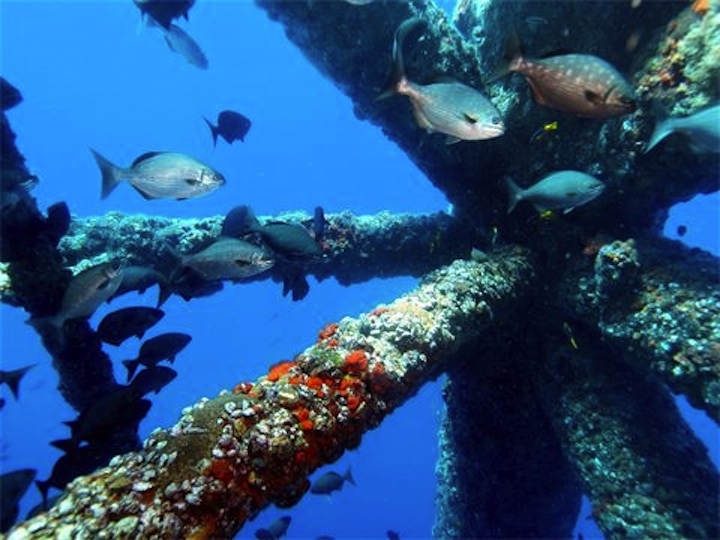 Image of the Day: Reef Rises From Retired Rig | Climate Central
