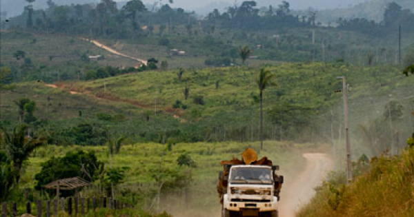 Amazon Deforestation at Record Low, Data Shows | Climate Central