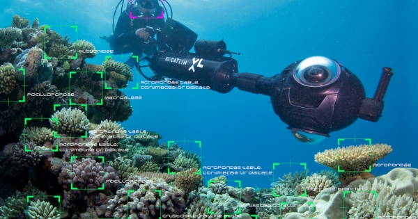 A Computer Just Changed the Coral Research Game | Climate Central