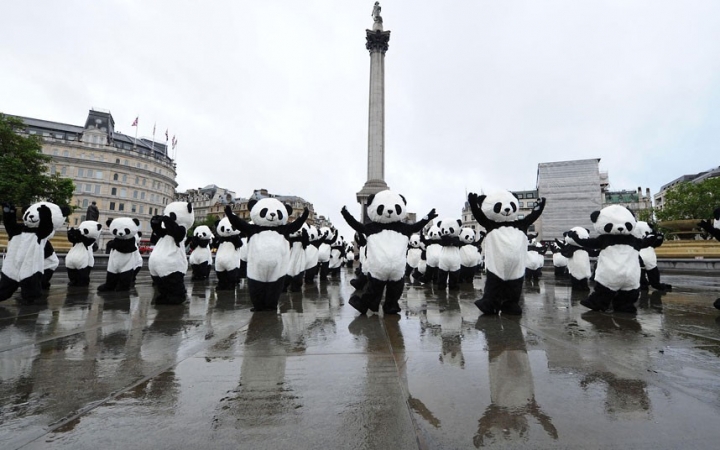 Image of the Day: No More Pandas? Too Much to Bear | Climate Central