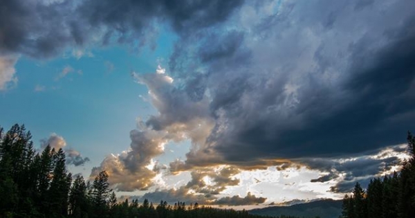 Picture This: Lucky Lightning Photo & Crazy Bug Swarm | Climate Central