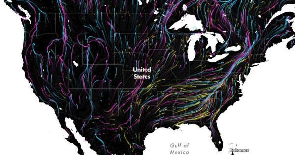 One Glorious Map Shows the Future of Animal Migrations | Climate Central