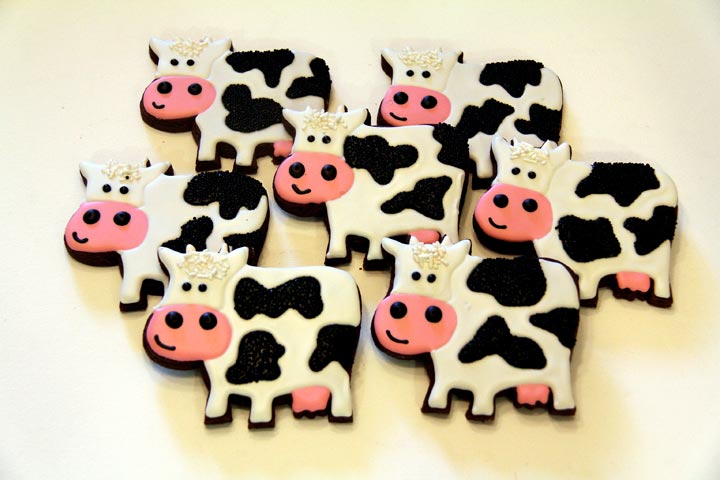 Image of the Day: Cookies & Candy for the Cows | Climate Central