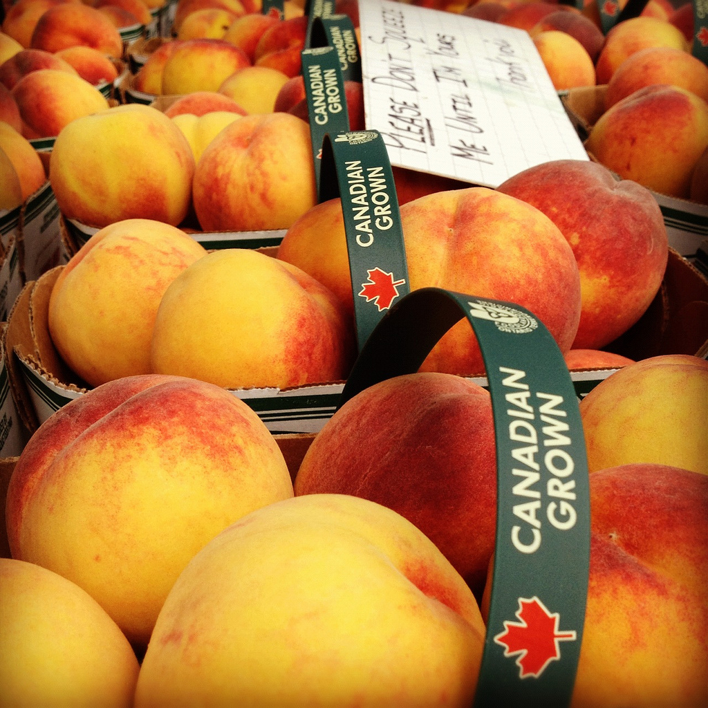 Climate Change Brings New Crops to Canadian Farms | Climate Central