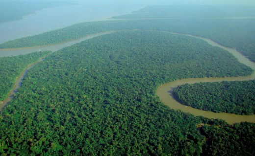 Drought Takes Hold as Amazon’s ‘Flying Rivers’ Dry Up | Climate Central